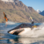 Hydro Attack Queenstown: Epic Semi-Submersible Shark Ride Adventure
